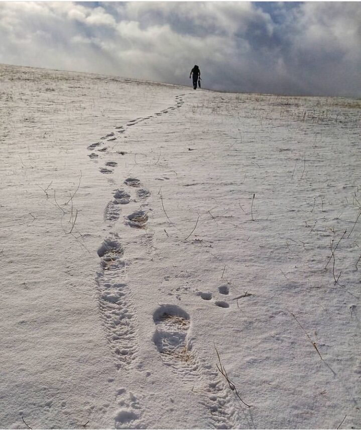 How to Conduct a Student/Teacher Conference - Nature Labs