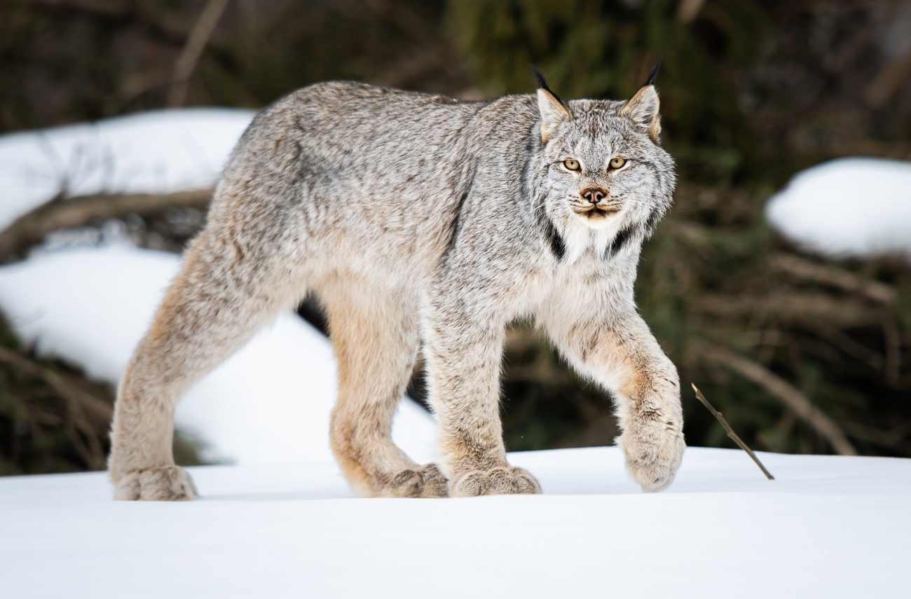 My relationship with nature: It’s complicated - Nature Labs