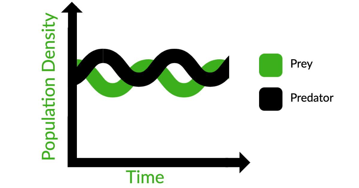Food Chains and Carrying Capacity - Nature Labs