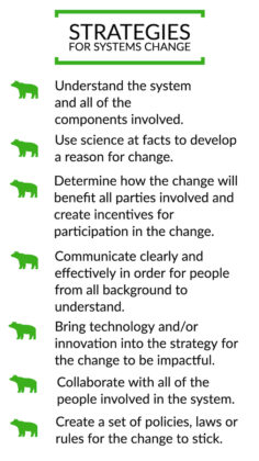 What is Systems Change - Nature Labs